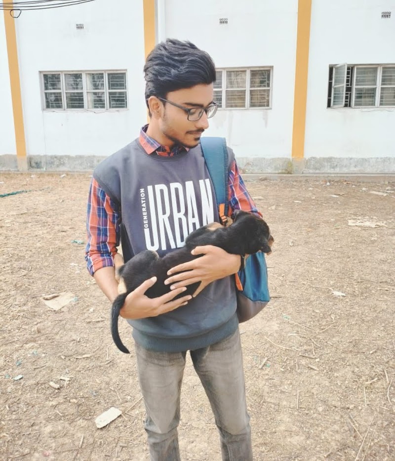 Prateek Jha - Portfolio